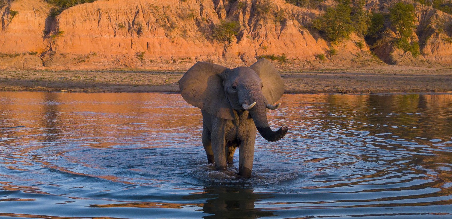 Chiredzi Central Academy - Excellence in Education | Form 1-6 School ...